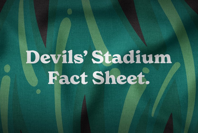 Devils' Stadium Fact Sheet | Tasmania Football Club
